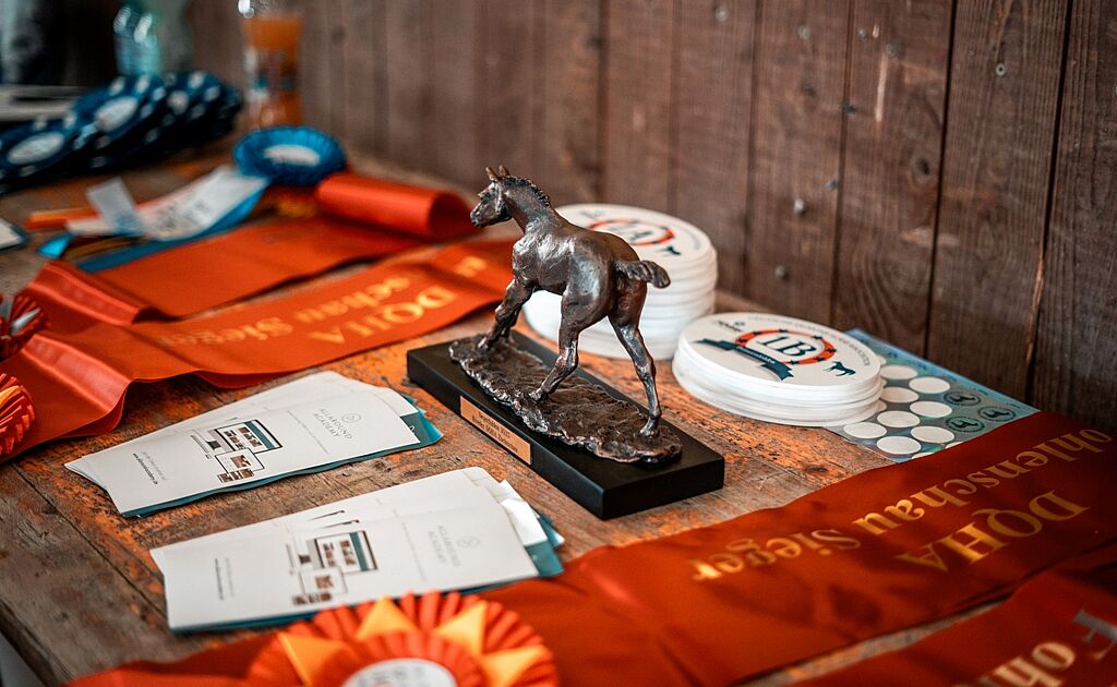 Höveler DQHA Zuchtschausaison 2023: Hier ist die Jahresliste der ...