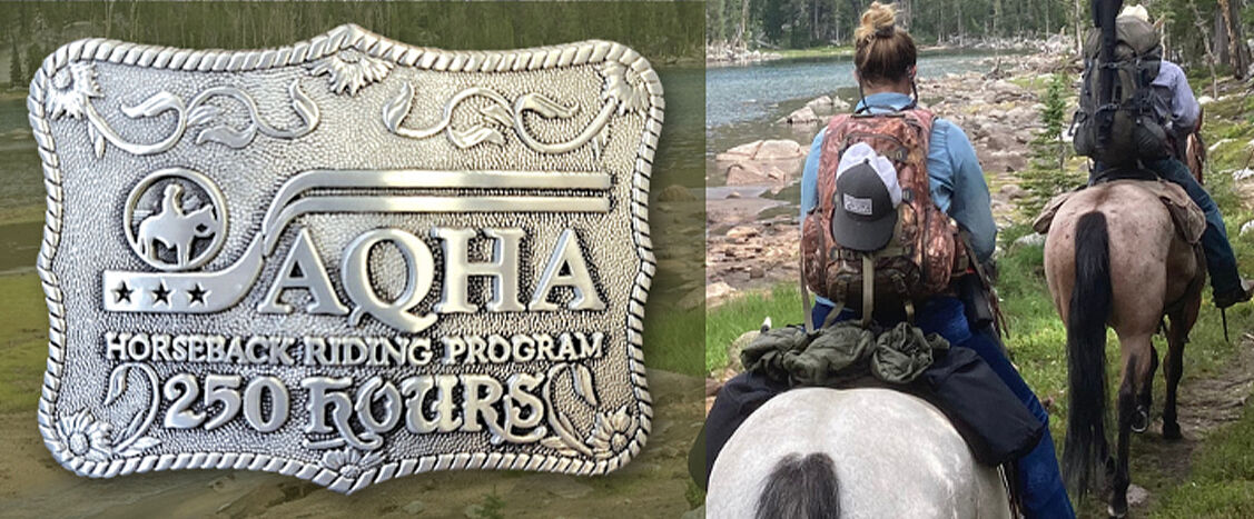AQHA Horseback Riding Program: Trot to 250 Challenge | Deutsche Quarter ...