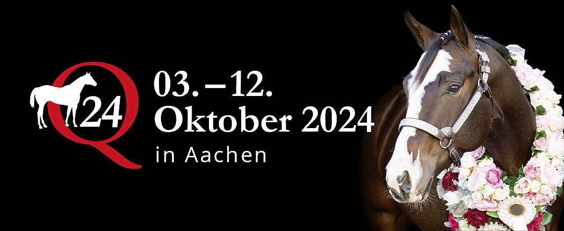 Q24 UP TO DATE - Alle Informationen zur Q24! | Deutsche Quarter Horse ...