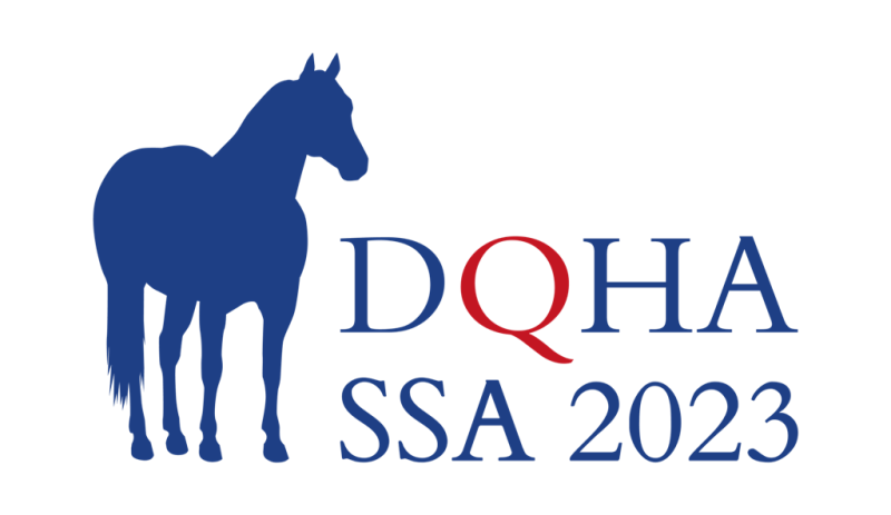 SSA 2023: Sonderaktion für Hengsteigentümer bis 30. Juni 2024 ...