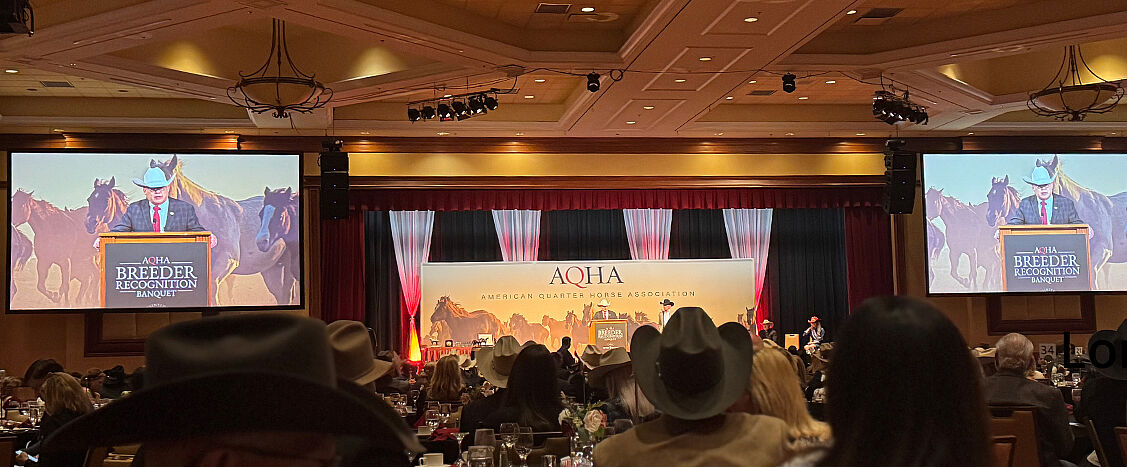 DQHA auf der AQHA Convention 2025: Gemeinsam für die Zukunft des ...
