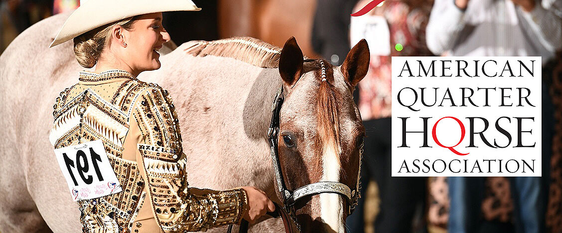 DQHA Ost Futurity wird zur DQHA Regio Show – Jetzt anmelden! | Deutsche ...