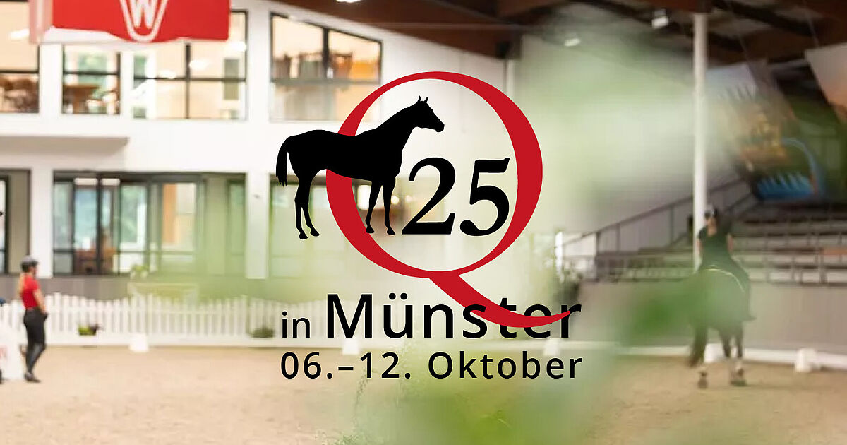 Q25 ALLE INFOS | Deutsche Quarter Horse Association e.V.