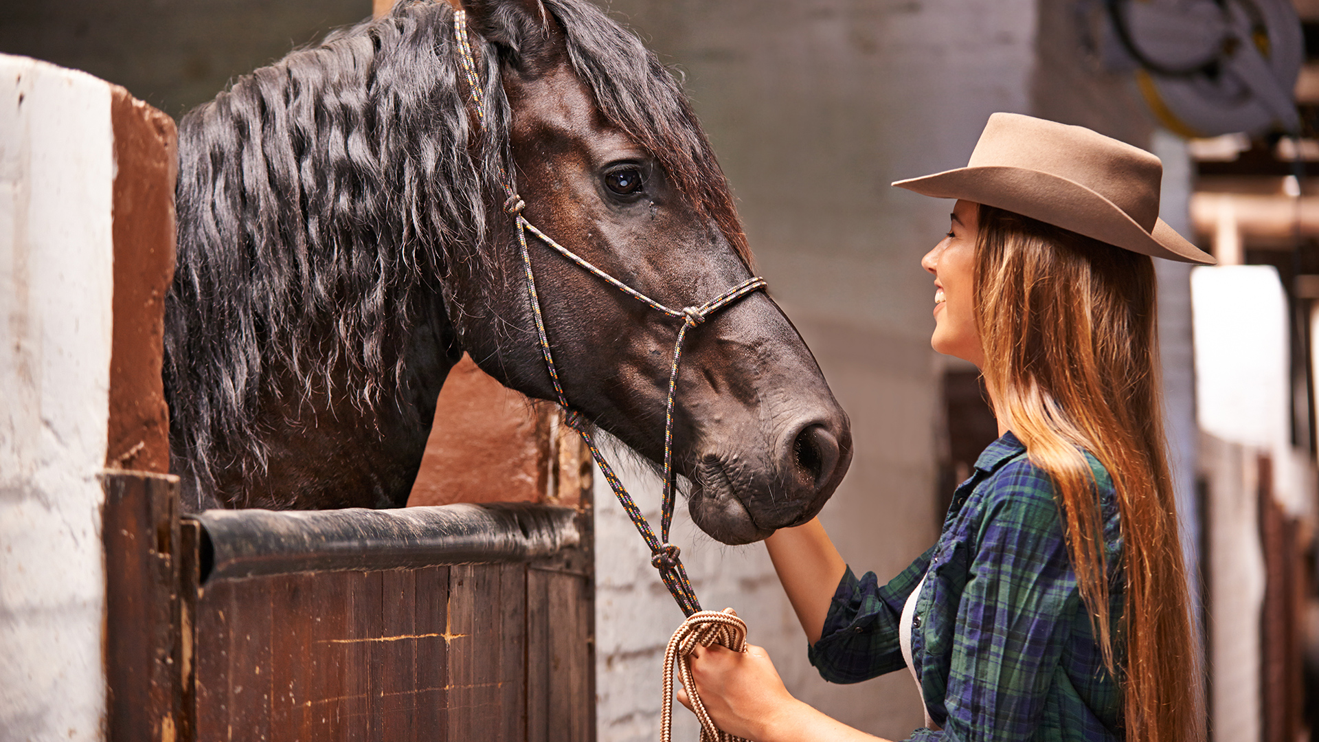 Freizeit | Deutsche Quarter Horse Association e.V.