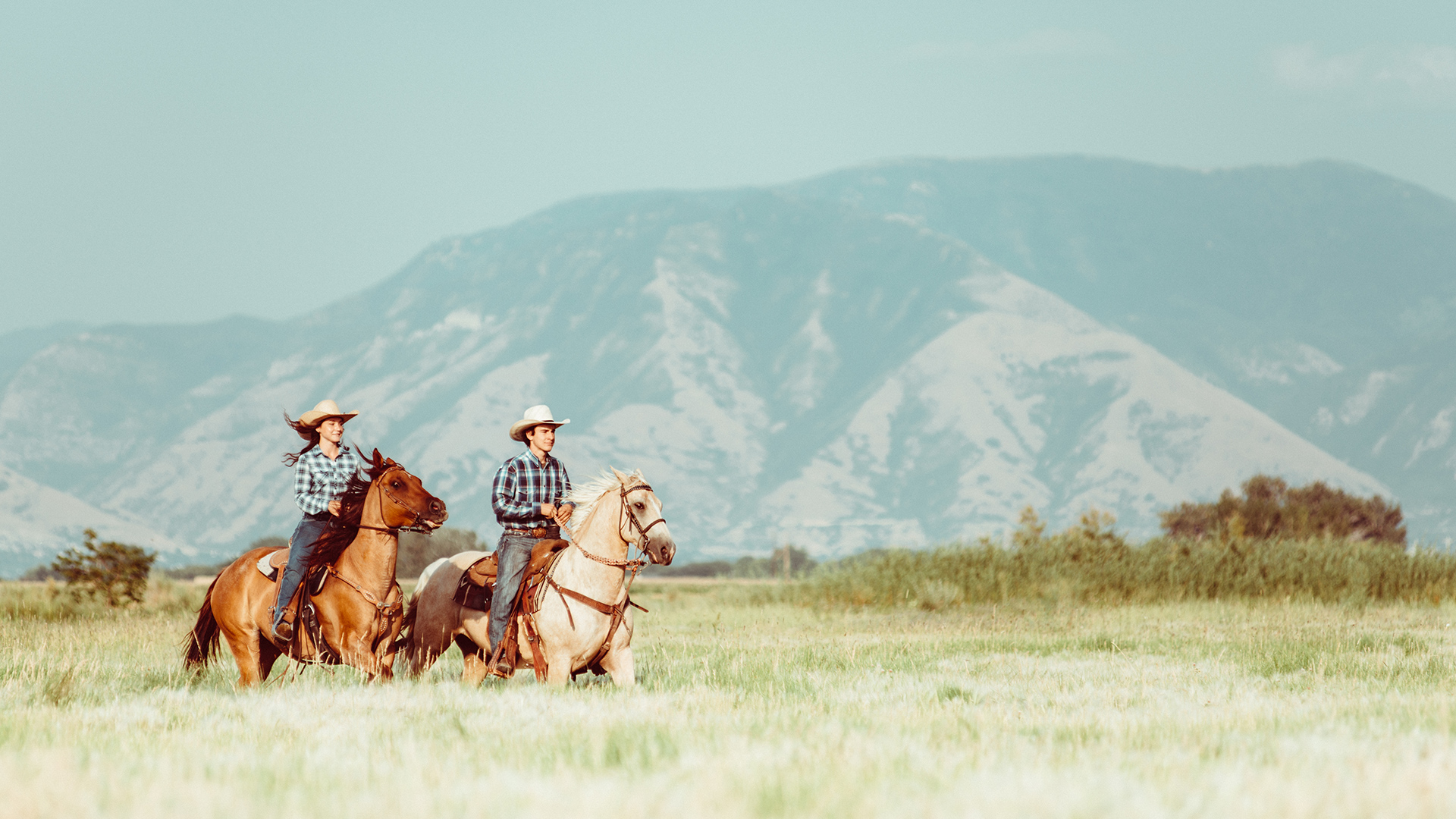Freizeit | Deutsche Quarter Horse Association e.V.